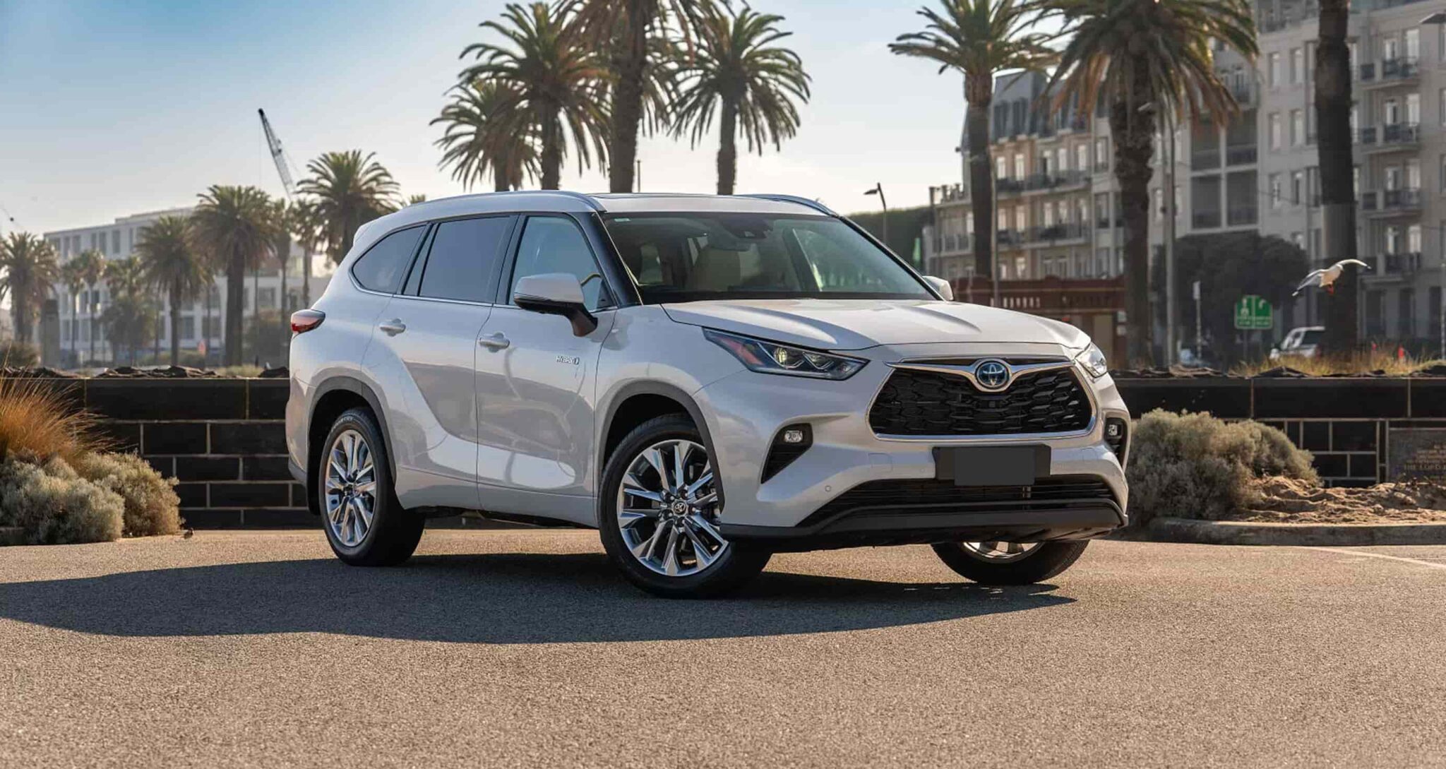 Best Hybrid SUVs in Australia 2026 | Top Picks Available Now